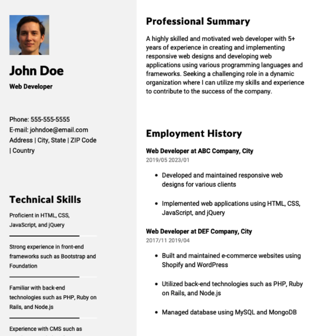 Web Developer Resume Example & Writing Guide — CVBLADE